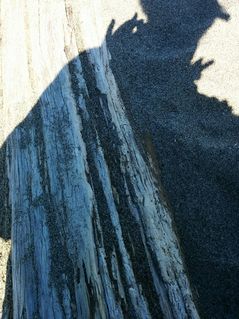 Blue shadow | KO Rural Mad As Hell Blog