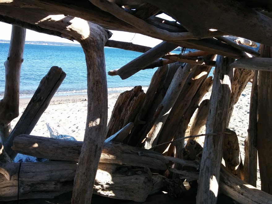 beach build | KO Rural Mad As Hell Blog