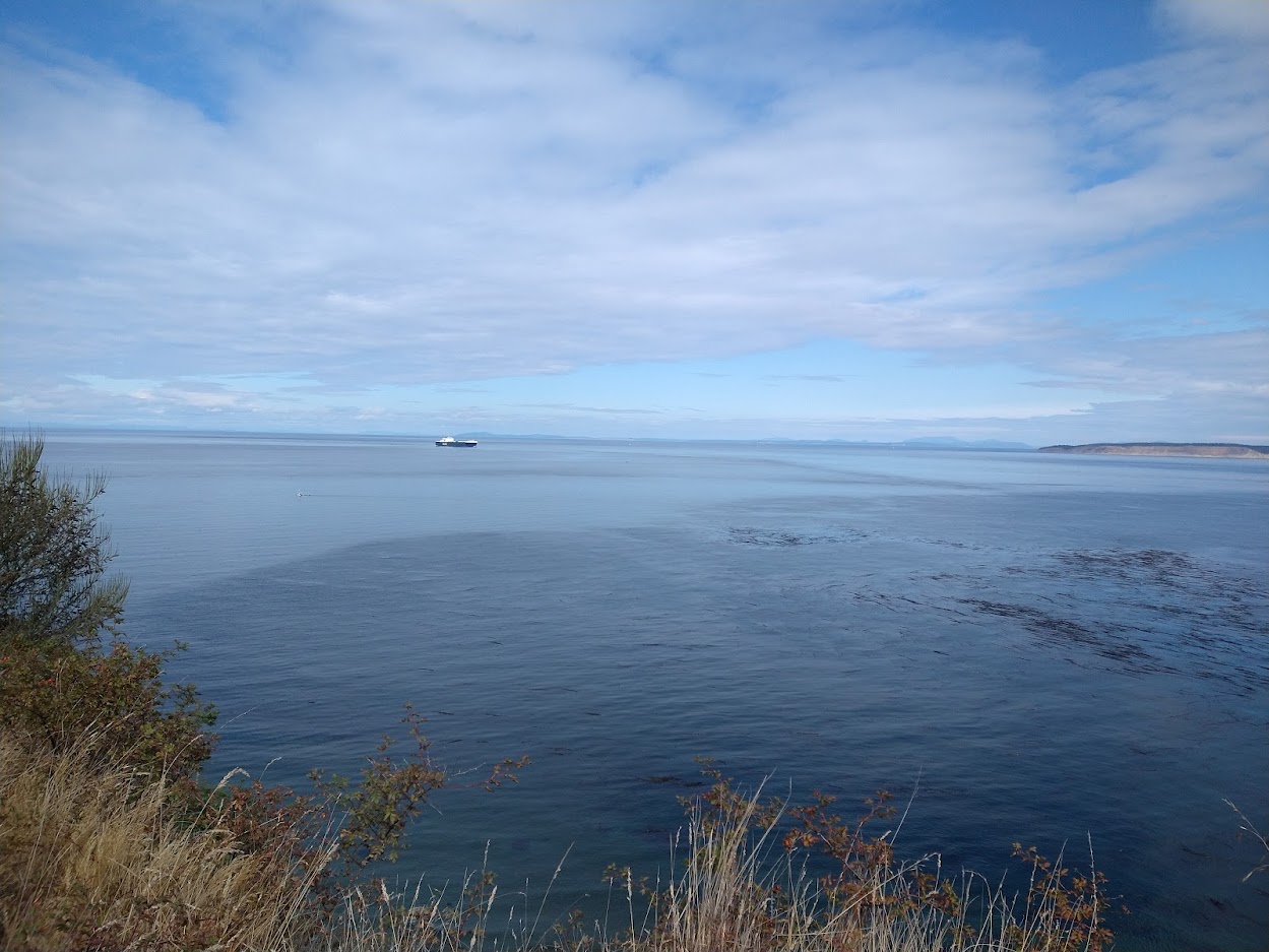 far ship | KO Rural Mad As Hell Blog