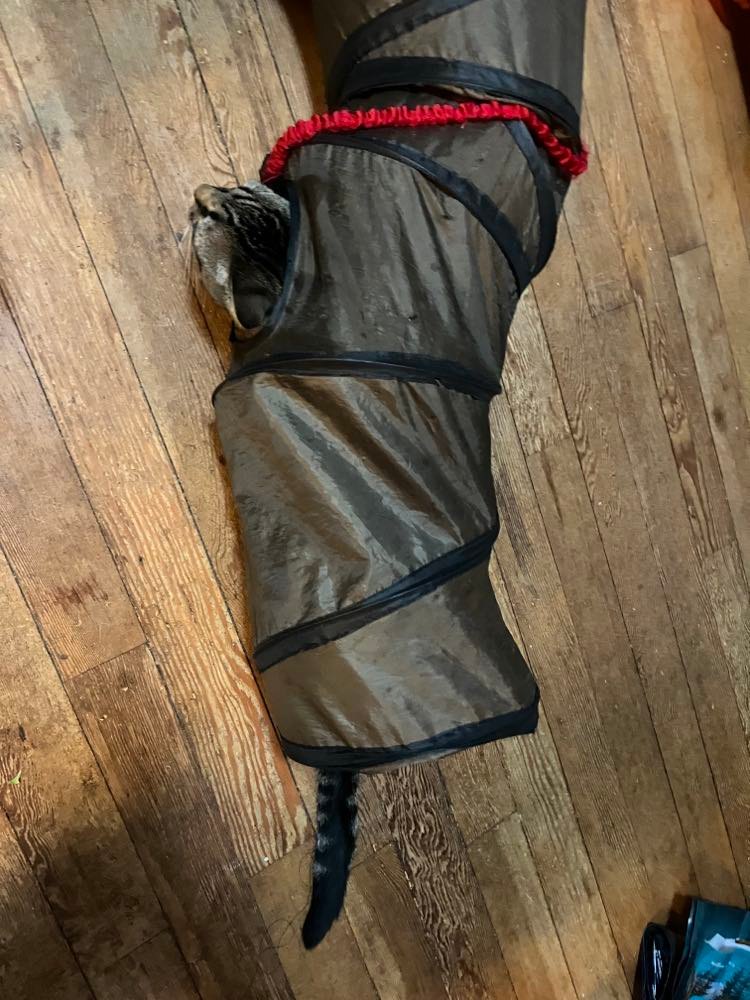 tube snake | KO Rural Mad As Hell Blog