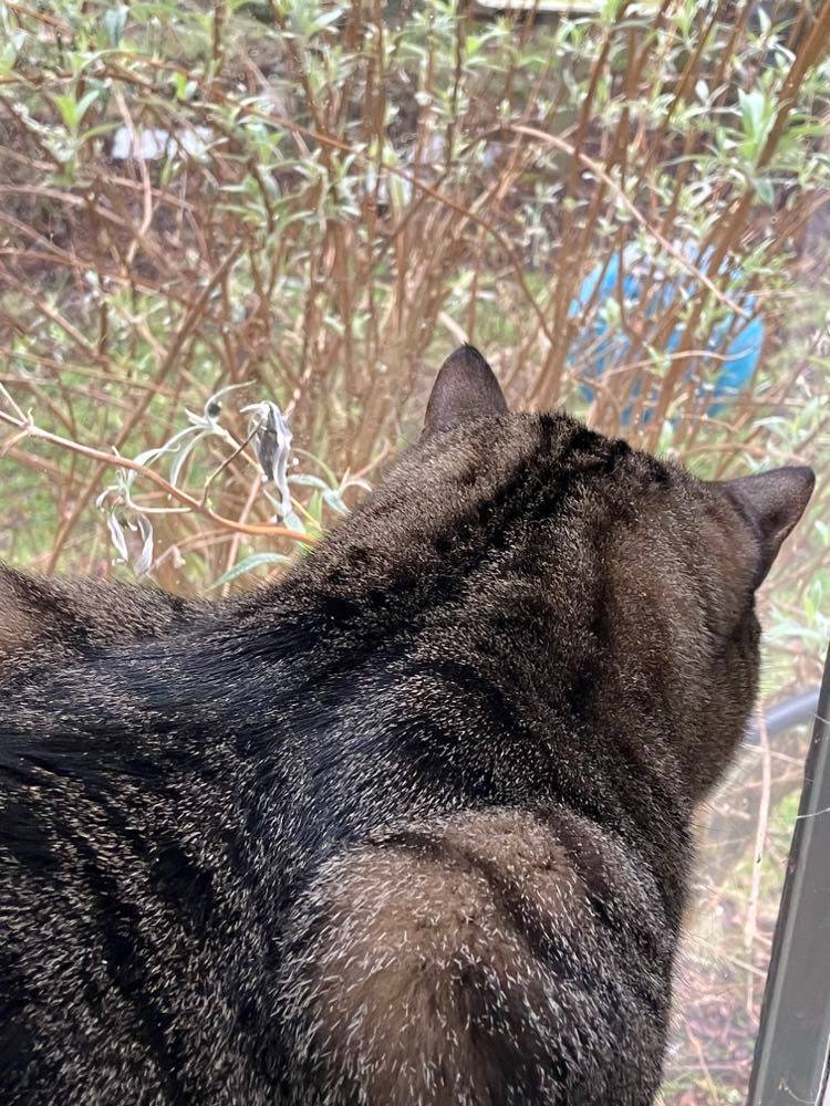 DIY FUD | KO Rural Mad As Hell Blog